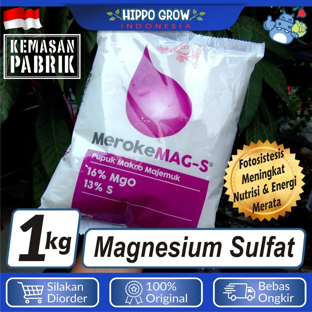 Jual Pupuk MAG-S Magnesium Sulfat Sulfur Meroke Tanaman Buah Subur ...