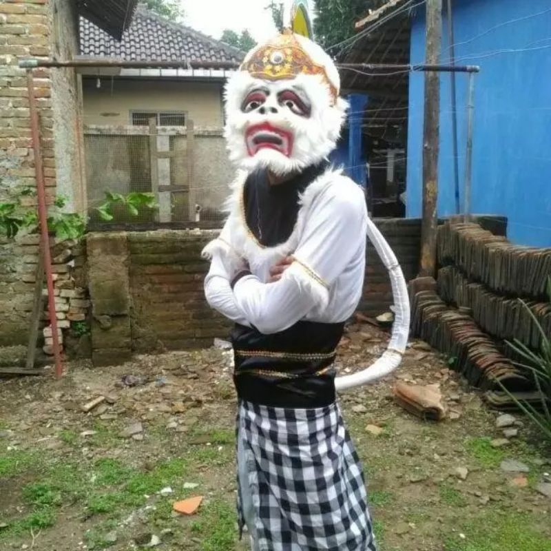Jual costume hanoman dewasa+ekor | Shopee Indonesia