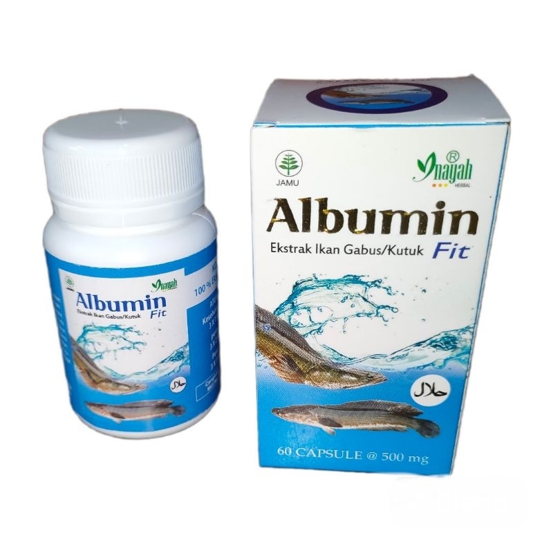 Jual ALBUMIN FIT Kapsul Ekstrak Ikan Gabus (isi 60 kapsul) EXP TERBARU 2027 | Shopee Indonesia