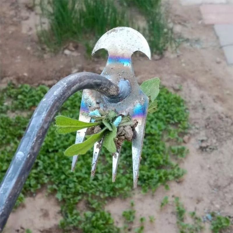 Jual Alat Pencabut Rumput Liar Alat Garbu Taman Baja Asli Weeding Garu ...
