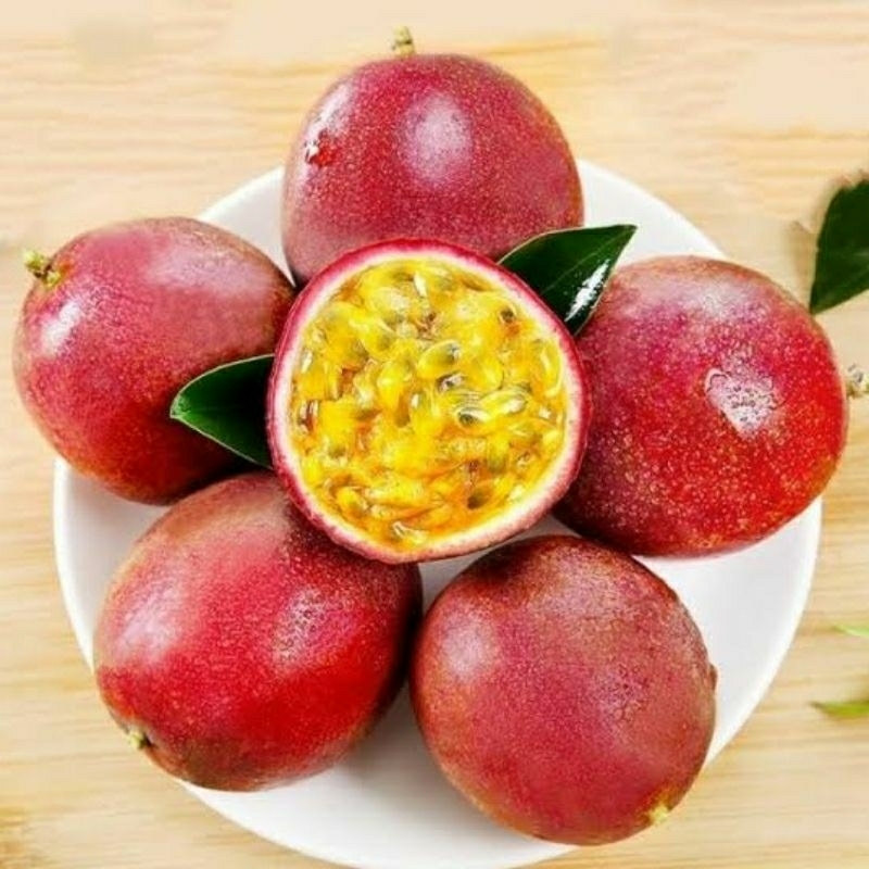 Jual Benih Biji Buah MARKISA MERAH Manis Red Passion Fruit | Shopee Indonesia