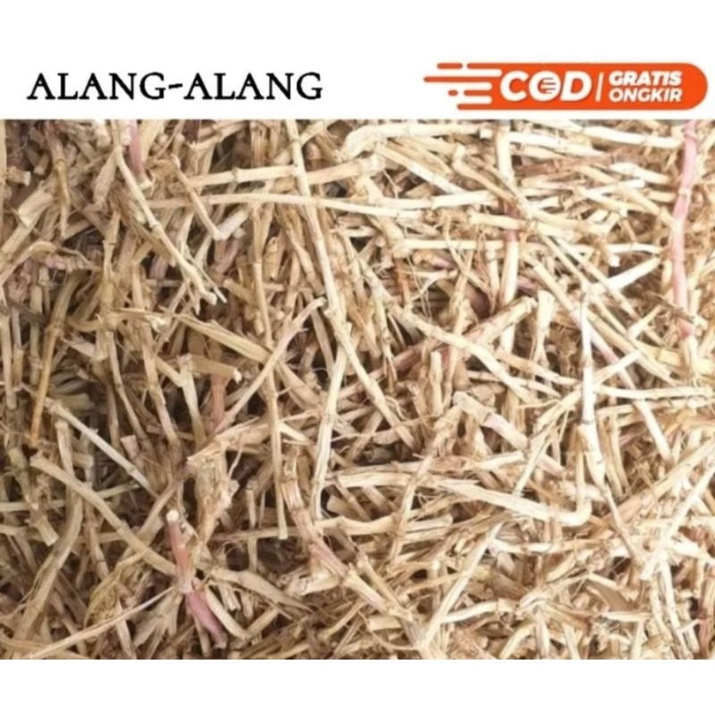 Jual AKAR ALANG ALANG KERING ALANG2 HERBAL ALAMI | Shopee Indonesia