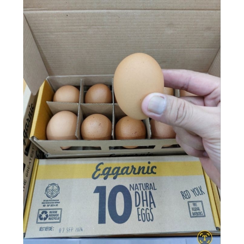 Jual TELUR OMEGA 3 ORGANIC EGGARNIC KEMASAN ISI 10 PER PACK | Shopee ...