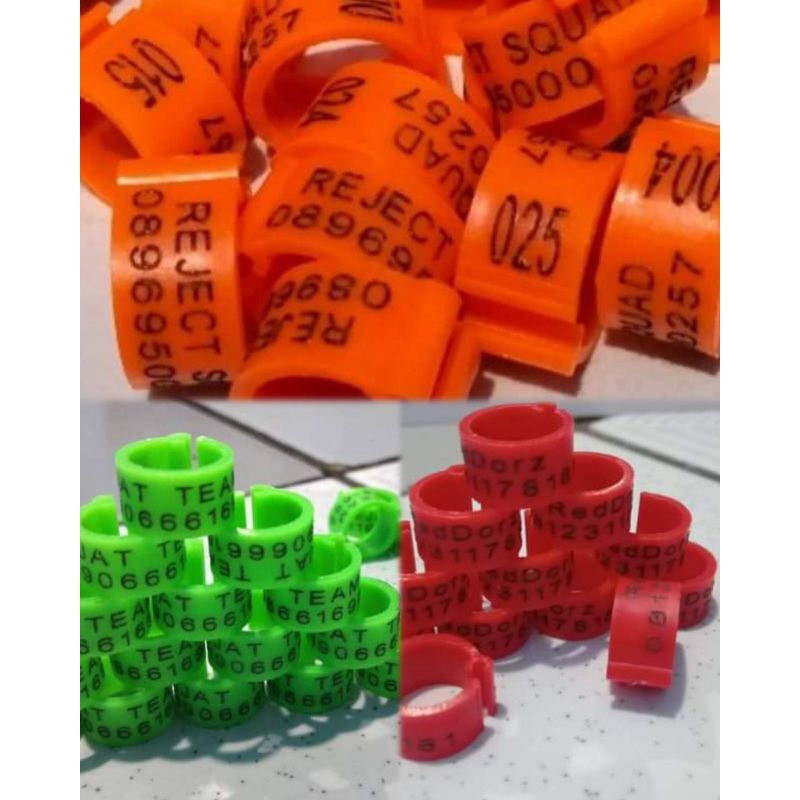 Jual ring merpati dewasa klip bisa cetak nama isi 10 biji | Shopee ...