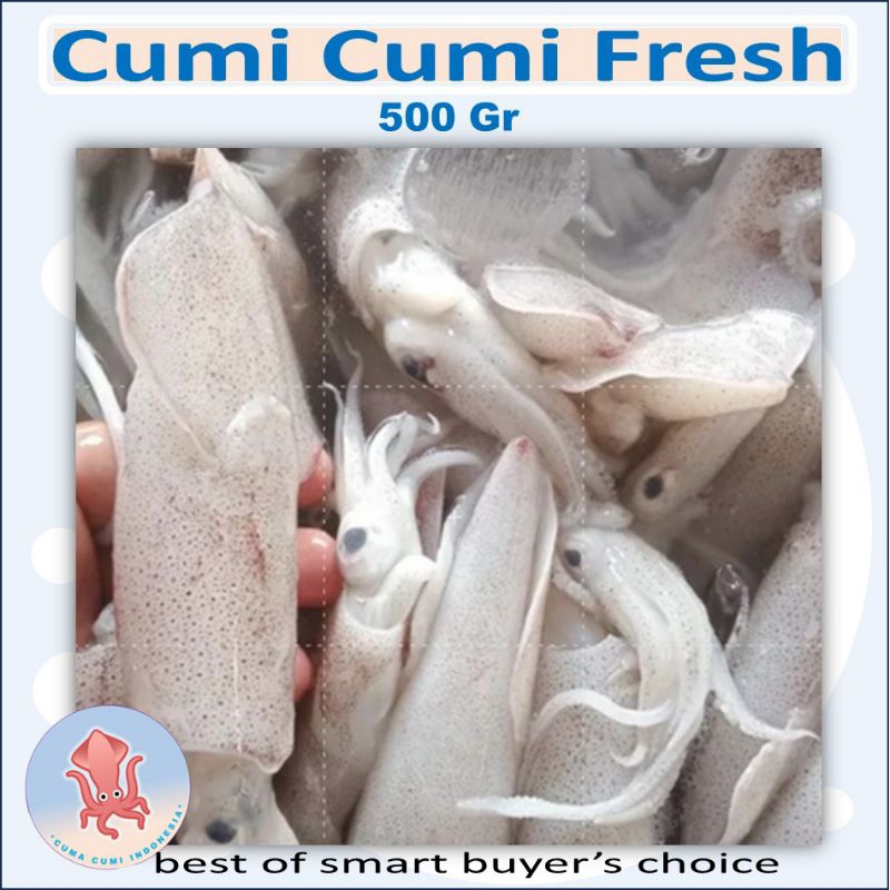 Jual Cumi Fresh Frozen 500gram | Shopee Indonesia