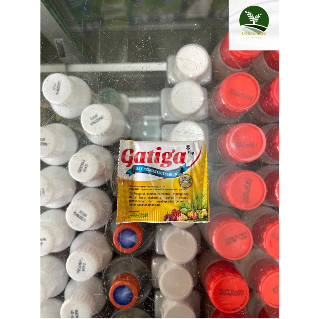 Jual Gatiga Zat Pengatur Tumbuhan | Shopee Indonesia