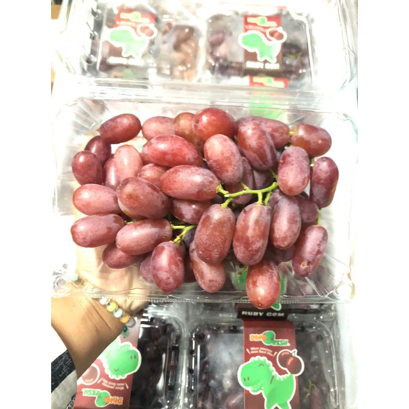 Jual Anggur Ruby Gem China Dinofresh Berat 500gram /pack | Shopee Indonesia