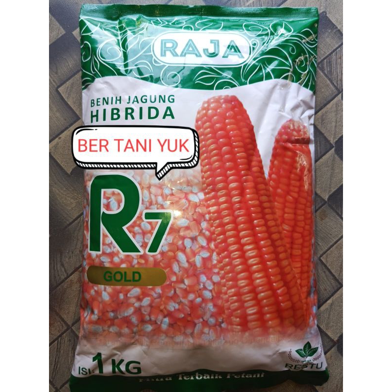 Jual benih jagung RAJA hibrida R7 GOLD kemasan 1kg | Shopee Indonesia
