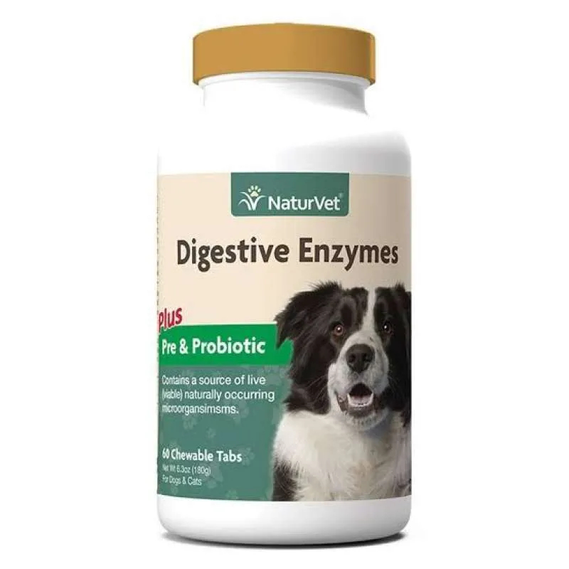 Jual NaturVet Digestive Enzymes Plus Pre & Probiotic | Repack 1 Tablet ...