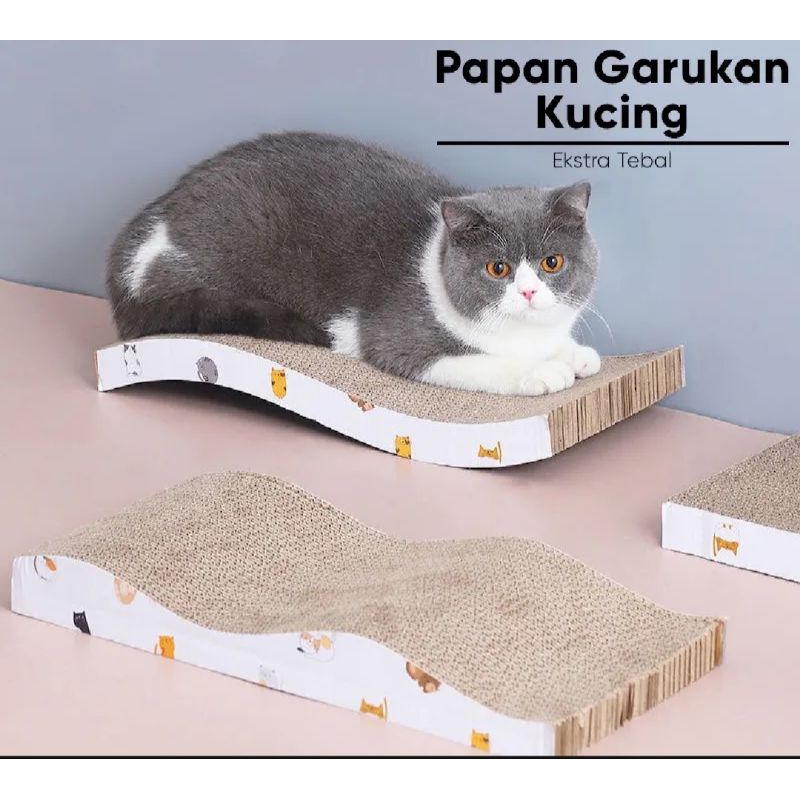 Jual papan garukan kucing | Shopee Indonesia
