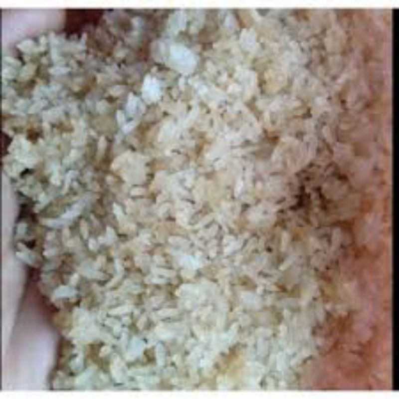 Jual Nasi aking 1 kg | Shopee Indonesia