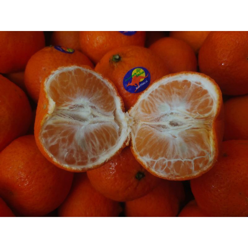 Jual Jeruk Mandarin kupas | Honey murcot 1kg | Shopee Indonesia