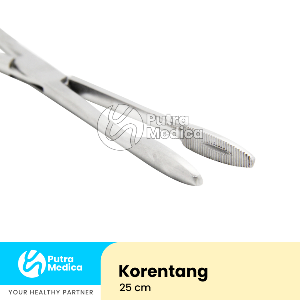 Jual Korentang Stainless 25cm / Penjepit Instrument Medis Steril ...