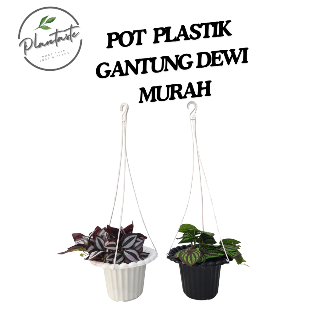 Jual Pot Bunga Tanaman Hias Gantung Mawar D20 | Pot Plastik Gantung ...