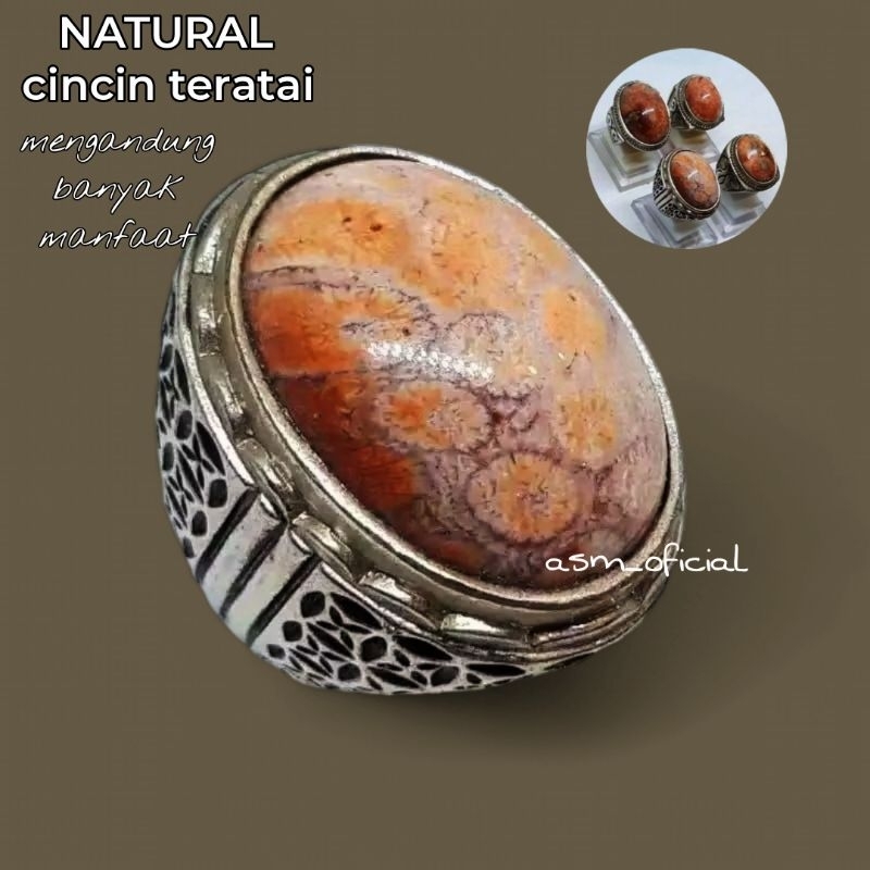 Jual cincin Batu dengan banyak manfaat Cincin akik teratai | Shopee ...