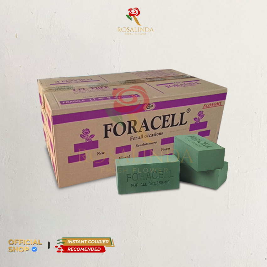 Jual [BOX] Oasis Basah Foam / Wet Oasis Foam / Busa Rangkain Bunga ...
