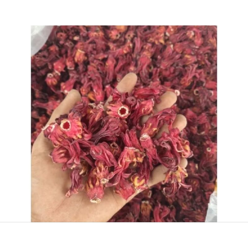 Jual Bunga Rosella Kering 50 gr Teh Bunga Rosella Kering Kaya Manfaat ...