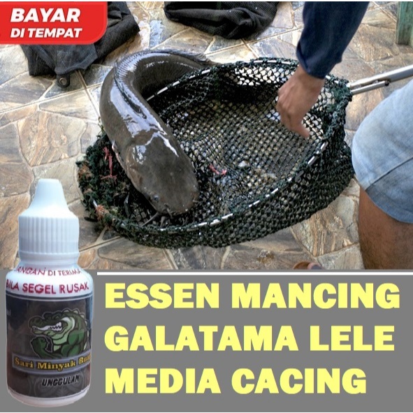 Jual ESSEN GALATAMA LELE MEDIA CACING ISI 30ML | Shopee Indonesia