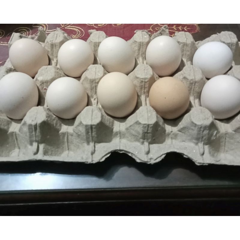 Jual Paket 10 biji telur ayam kampung omega 3 | Shopee Indonesia