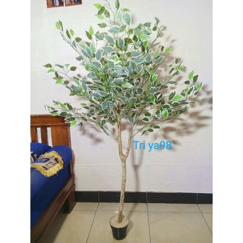 Jual Pohon Beringin Varigata Artificial 150cm pohon palsu hiasan ...
