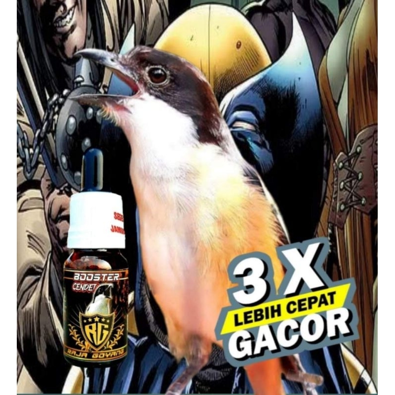 Jual BOOSTER CENDET RG Vitamin Penambah Gacor Dan Stamina Burung Cendet ...