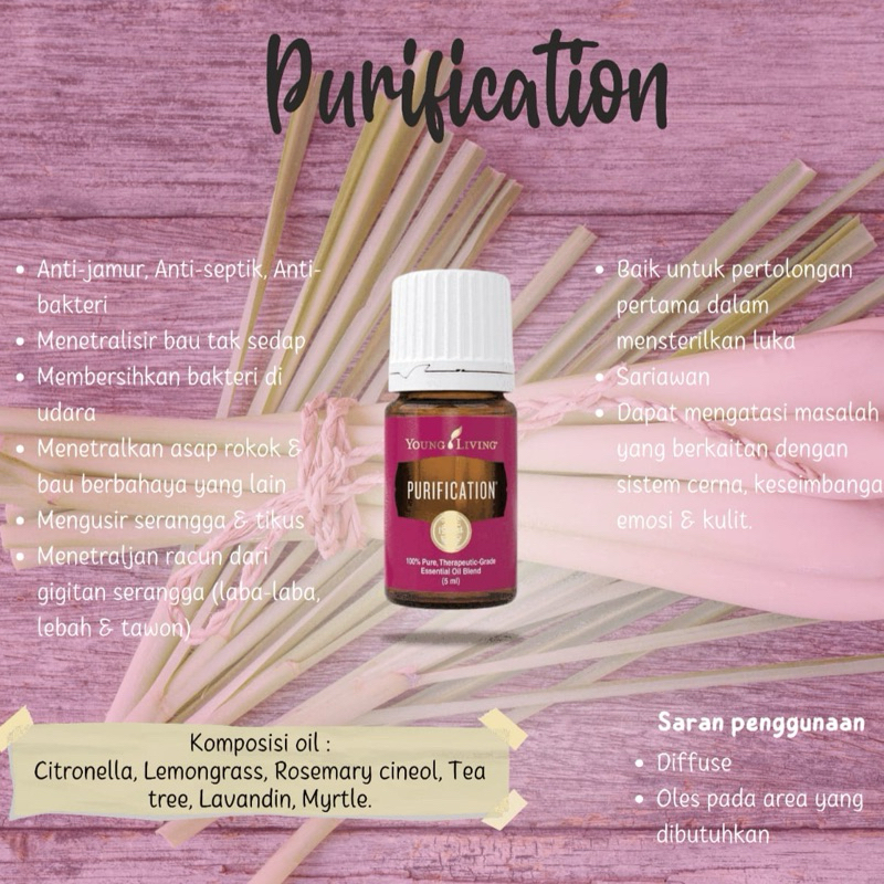 Jual Purification Essential Oil YL | Shopee Indonesia