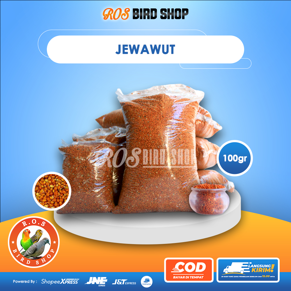 Jual 100gr Jewawut Pakan Burung PERKUTUT LOVE BIRD KENARI BERSIH Sudah ...