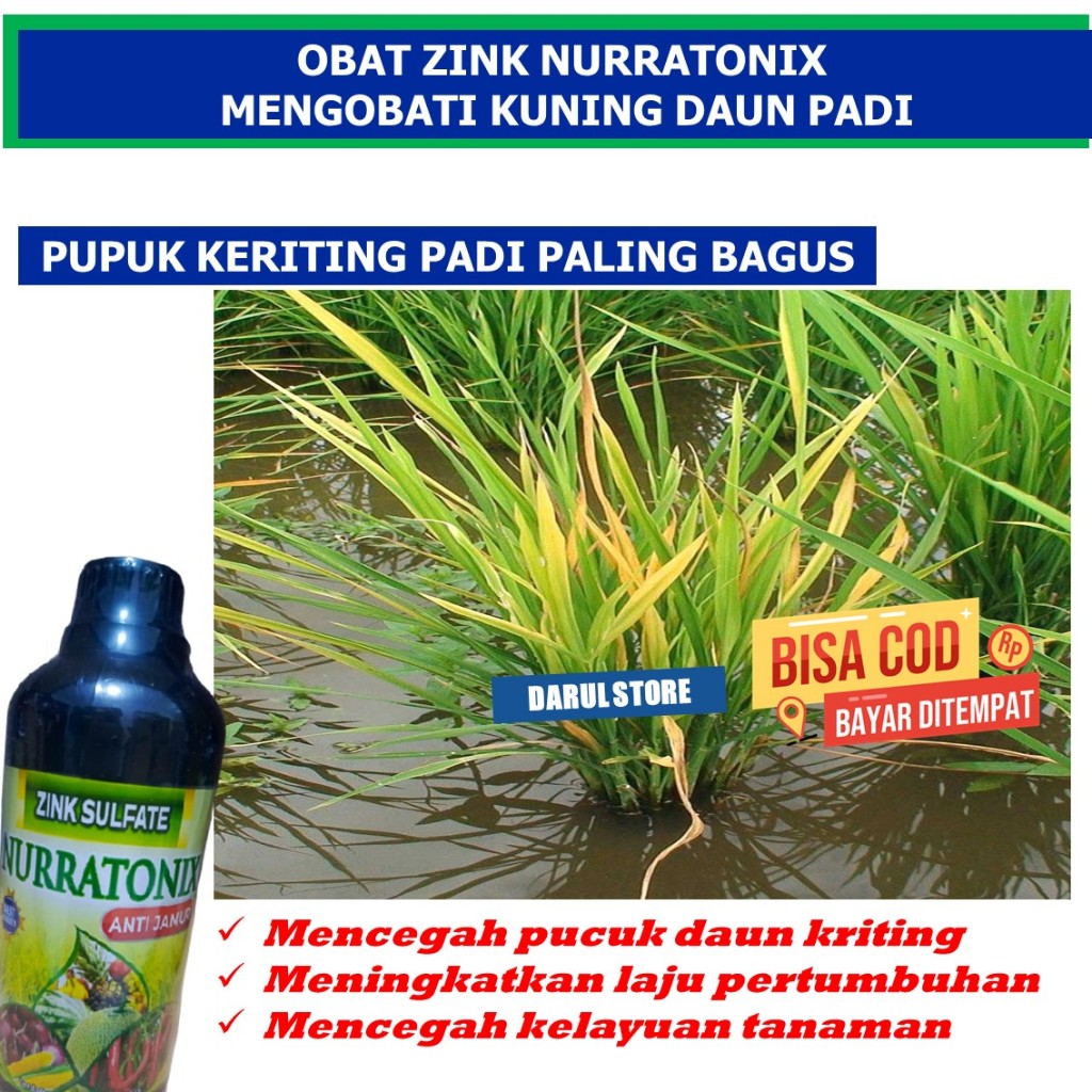 Jual OBAT BUSUK BUAH PADI ZINK NURRATONIX MENCEGAH LAYU TANAMAN DAN ...