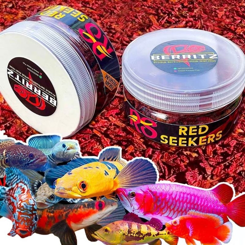 Jual MAGGOT RED SEEKERS PREMIUM KEMASAN BARCODE BY BERRITZ | Shopee Indonesia
