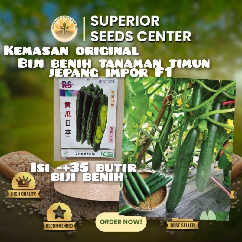 Jual kemasan original biji benih timun jepang impor F1 (isi -+35 butir ...