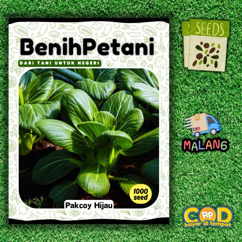 Jual 1000 Benih Bibit Sawi Pakcoy Sawi Daging Sawi Sendok Unggul ...