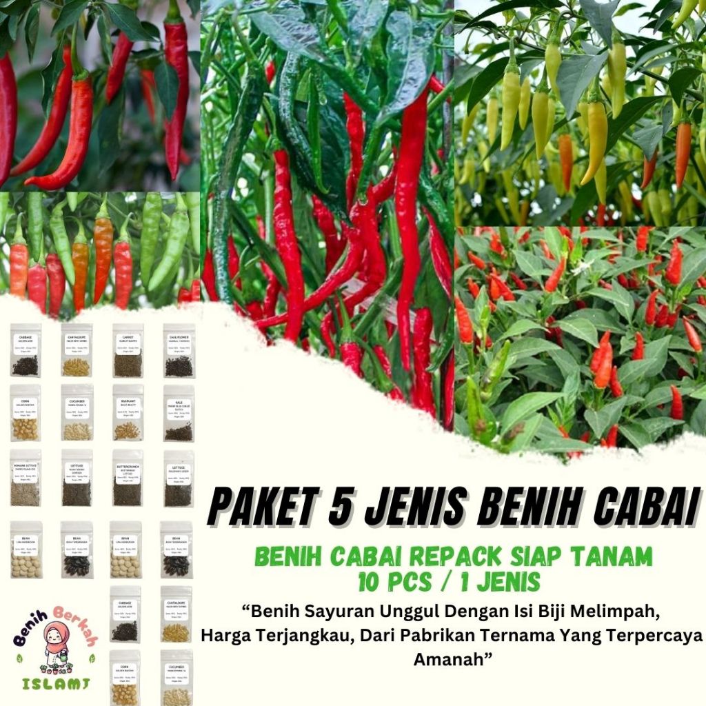 Jual HEMAT 1 PAKET 5 JENIS BENIH CABAI SIAP TANAMAN BIJI TANAMAN ...