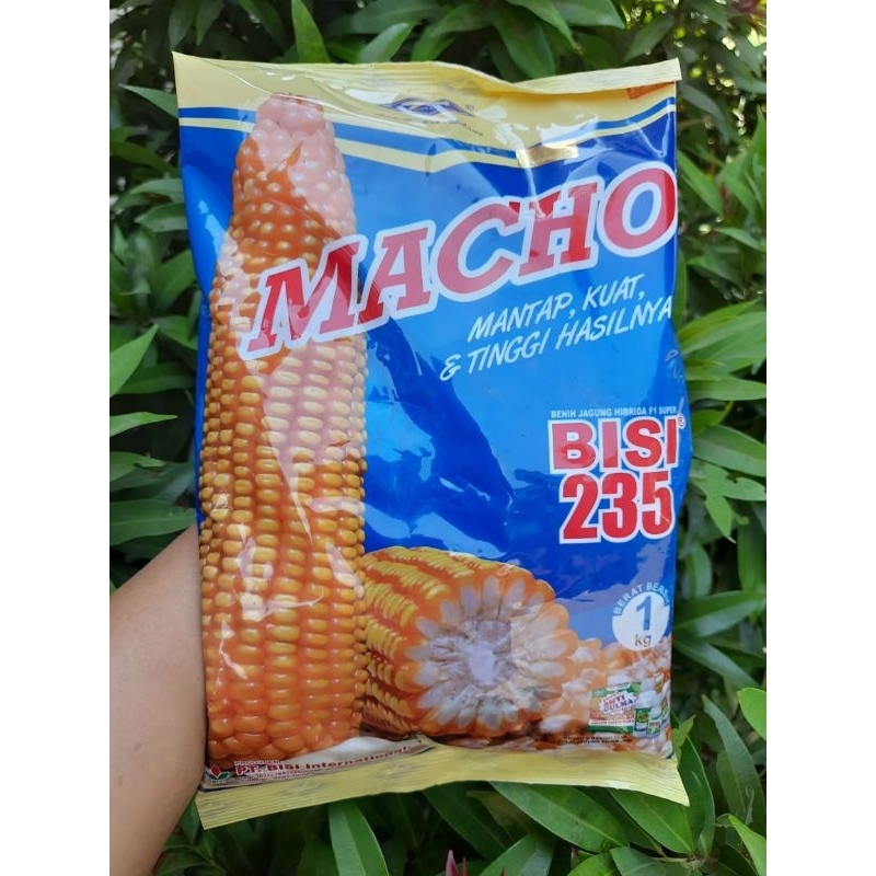 Jual Benih bibit jagung BISI 235 MACHO 1 kg original cap kapal terbang ...