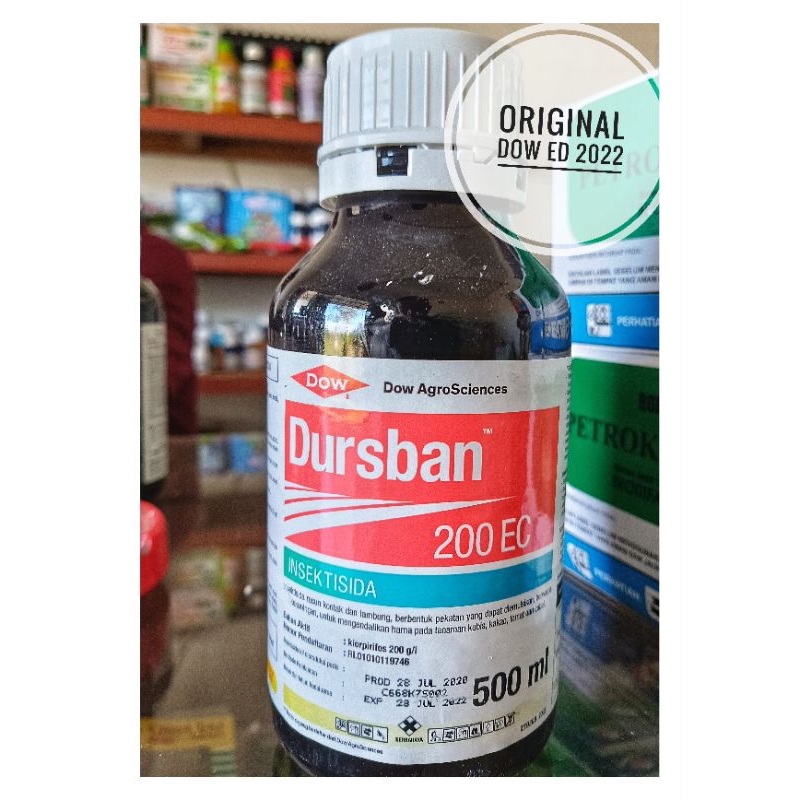 Jual Dursban 200EC 500ml insektisida (Ed 2020- 2022) | Shopee Indonesia