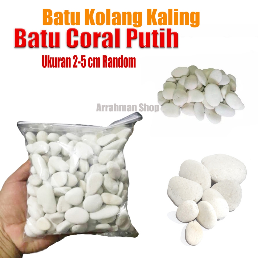 Jual Batu coral putih kupang Batu kolang kaling putih, batu hias, batu ...