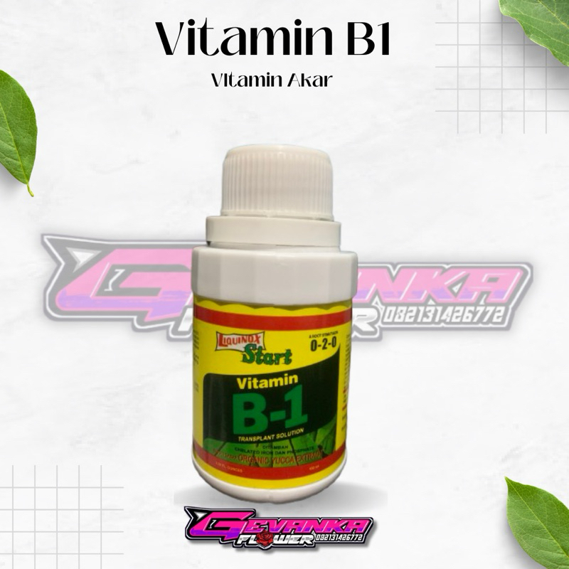 Jual Vitamin hormon B1 untuk tanaman | Shopee Indonesia