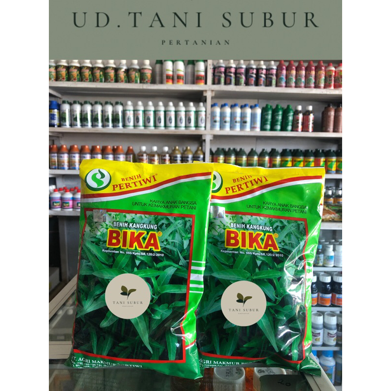 Jual Bibit Kangkung Bika/Benih Kangkung Bika/Bibit Sayuran kangkung 1 ... Jual Bibit Kangkung Bika/Benih Kangkung Bika/Bibit Sayuran kangkung 1 ...