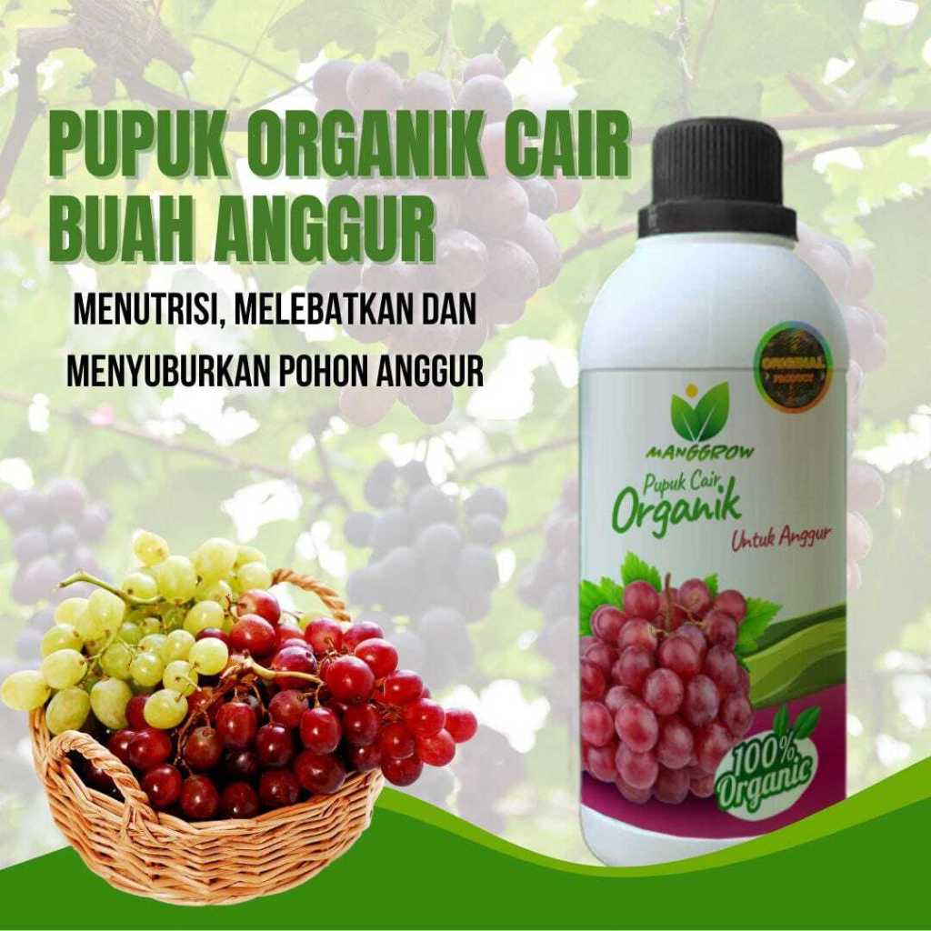 Jual Manggrow - Pupuk Organik Cair Anggur Kemasan 500 ML Dan 1000 ML ...