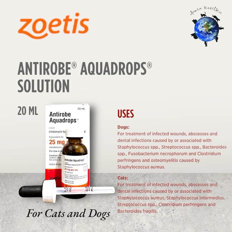 Jual Zoetis Antirobe Aquadrops Solution 25 Mg For Cat Dog - Abses ...