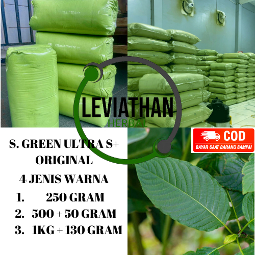 Jual Leviathan Powder bubuk purli bubuk daun purli bubuk purli purlik ...