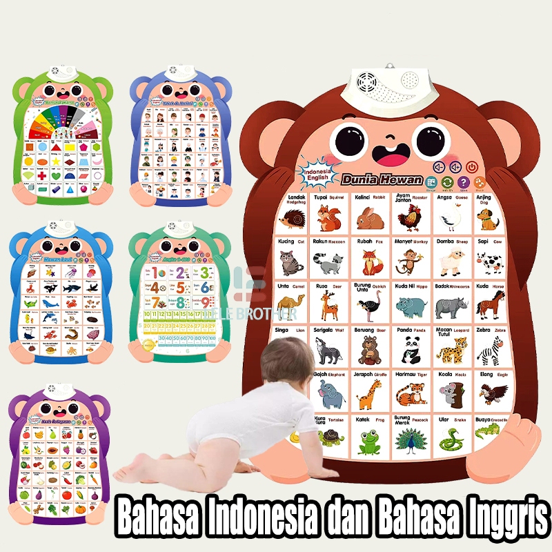 Jual LELE BROTHER Poster Edukasi Suara Poster Ajaib Cipung Bahasa ...