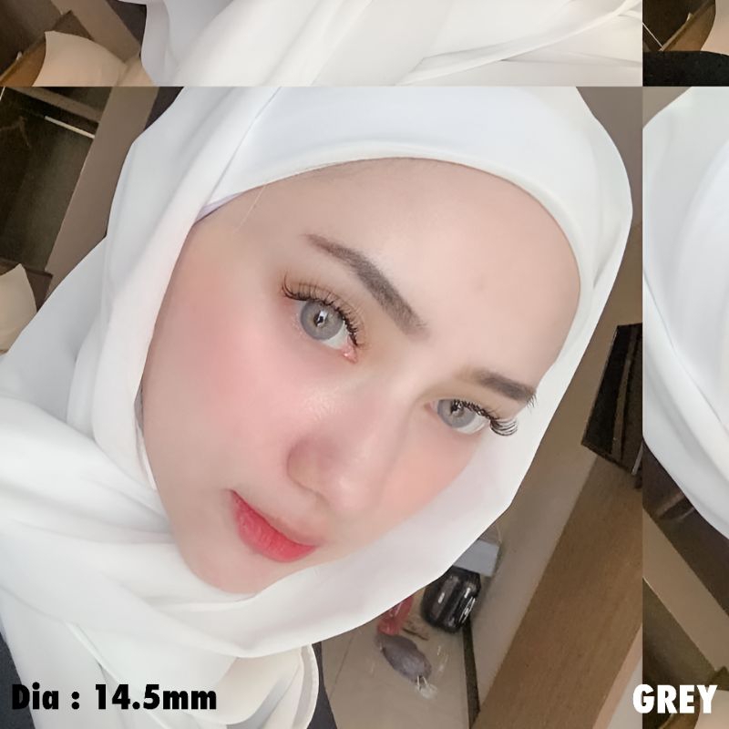 Jual SOFTLENS DC1 MALK / ARABIAN DREAMCOLOR 14.5 MM GRAY / GREY / BROWN ...