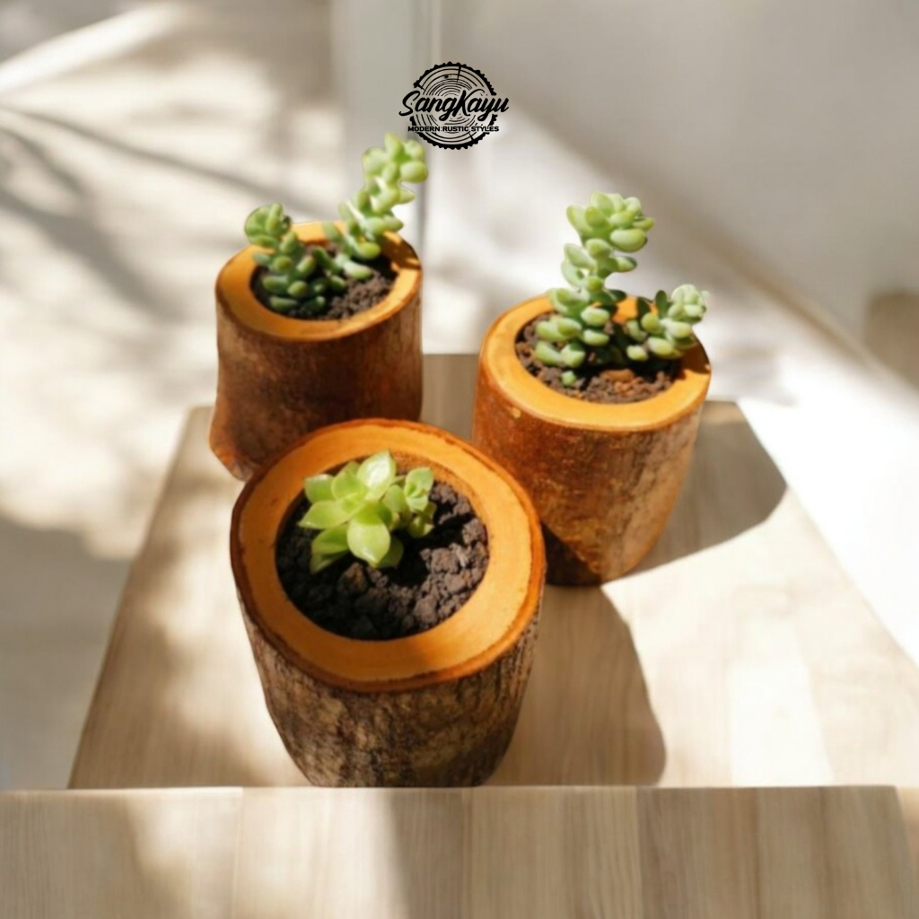 Jual SangKayu Natural Wood Log Planters Succulent Pot Vas Bunga Kayu ...