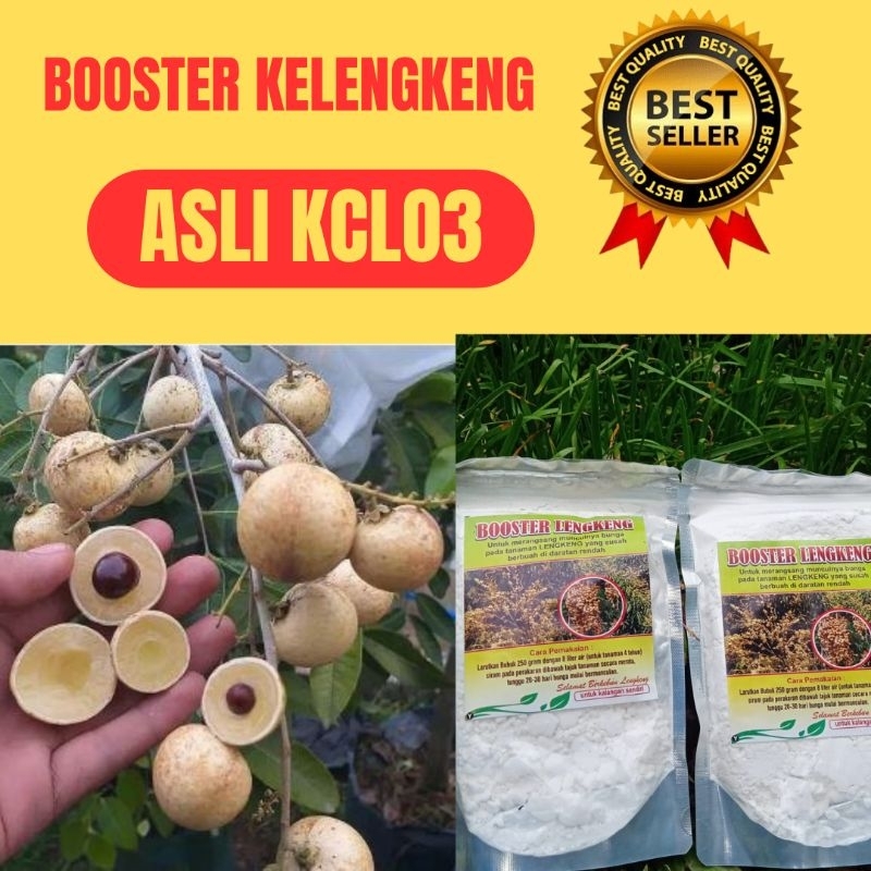 Jual Booster Kelengkeng Cepat Berbuah, Booster Keleng KCL03 Murnii ...