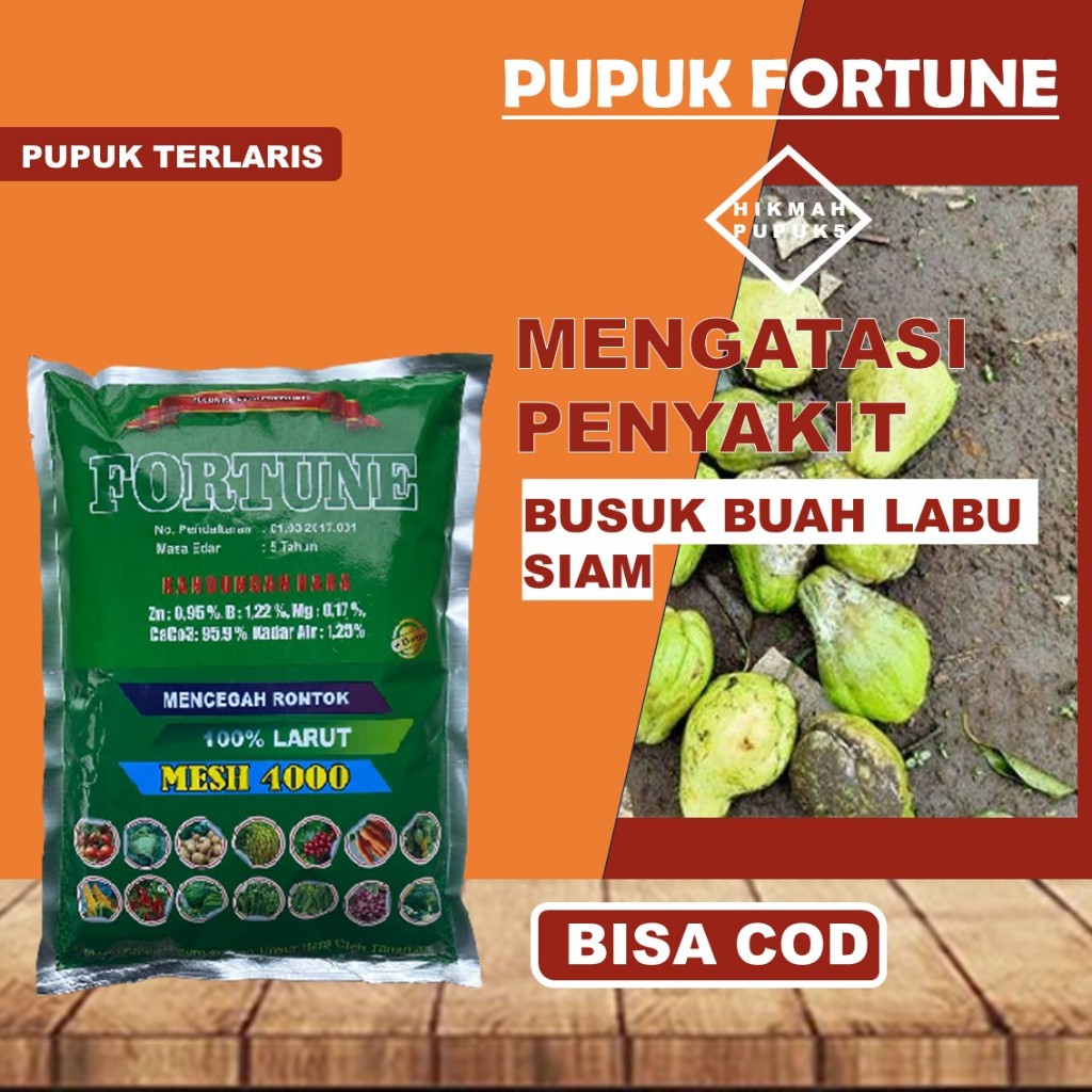 Jual Pupuk FORTUNE Atasi Penyakit Tanaman Busuk Buah Labu Siam, lemon ...