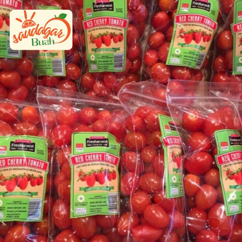 Jual tomat cherry fresh 1 pack | Shopee Indonesia