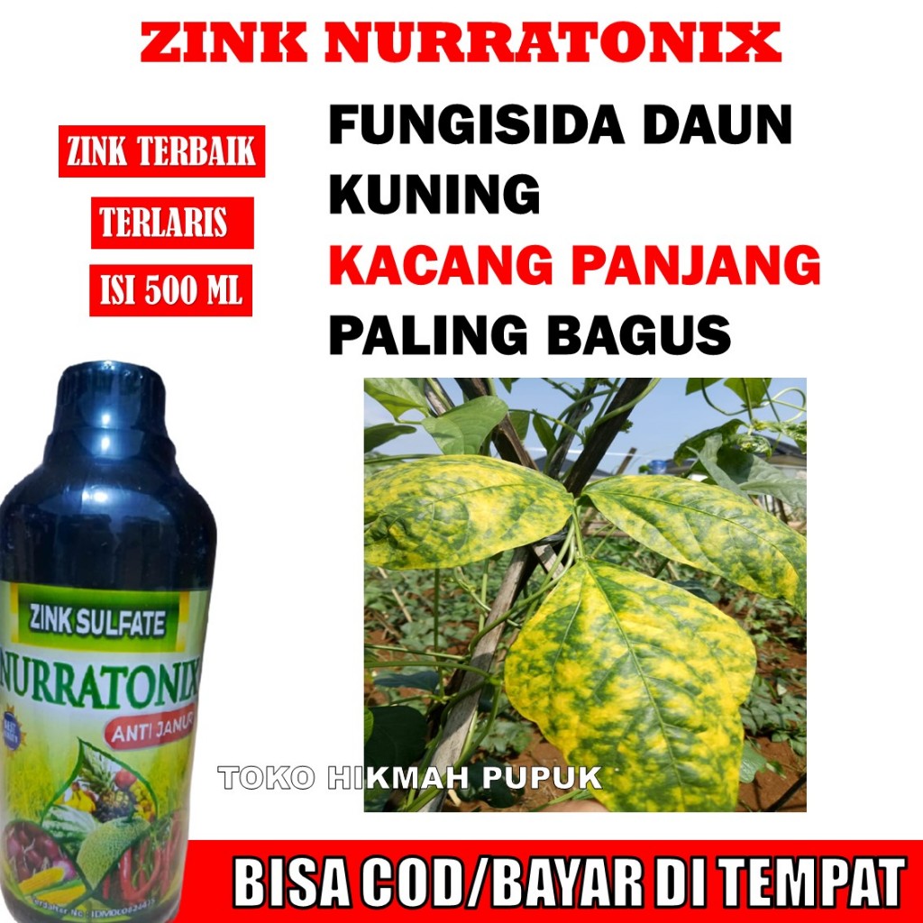 Jual TERLARIS Penyakit Daun Kuning Pada Kacang Panjang PATEK Pupuk Fungisida Hayati Atasi Virus ...