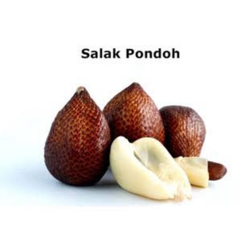 Jual Buah Salak 1 kg | Shopee Indonesia