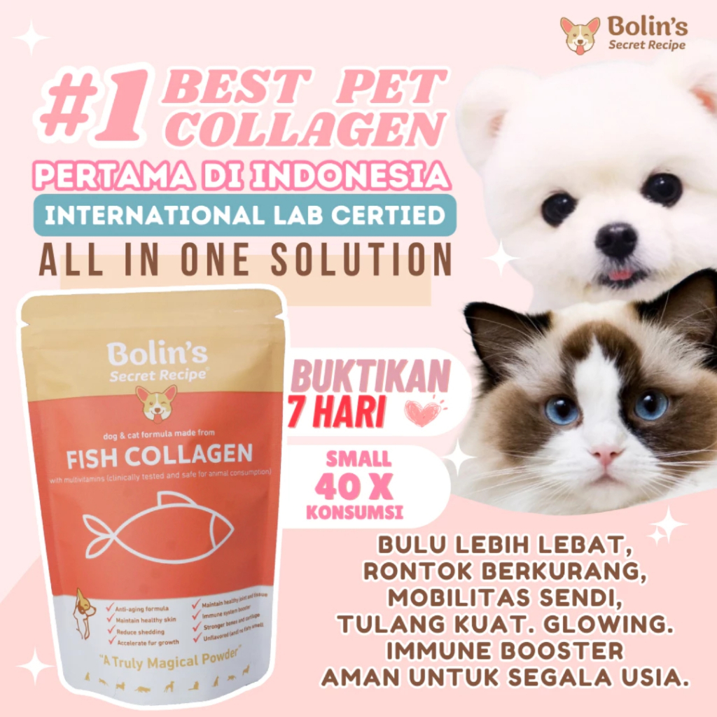 Jual Bolin's Secret Recipe - 50gr PURE Fish Collagen Pet Fish Collagen ...