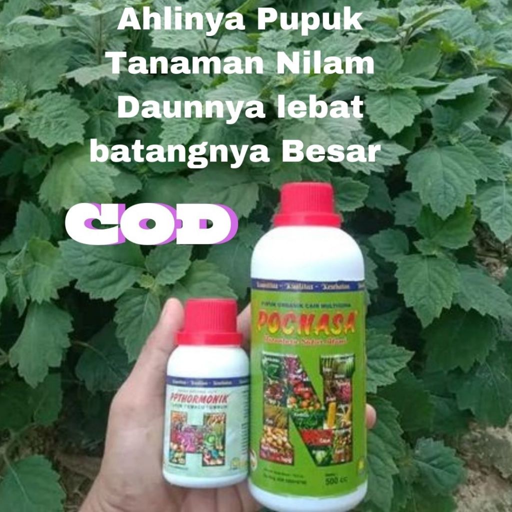 Jual Pupuk NILAM / Pupuk Organik Nasa Penyubur Tanaman Daun, Batang ...